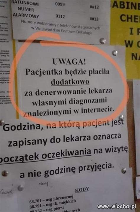 Ach Te Internety Wiocha Pl Absurd 1739772