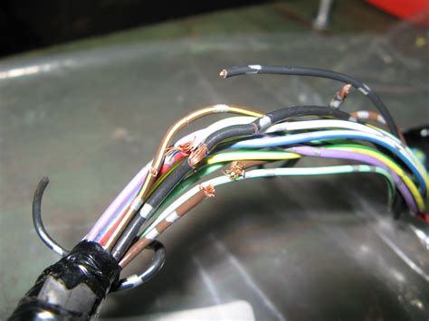 Mice Can Chew Car Wiring Easily Muskoka Pest Control