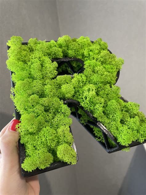 Логотипи літери з стабілізованим мохом Інші послуги Ужгород на Olx