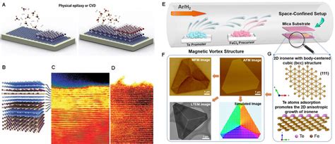 Synthesis Of 2d Materials By Cvd A Schematic Diagram Of The Cvd Download Scientific Diagram
