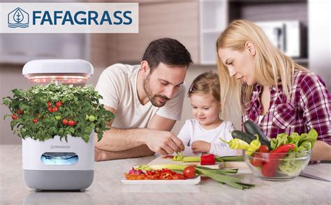 Fafagrass Indoor Garden Fast Grow