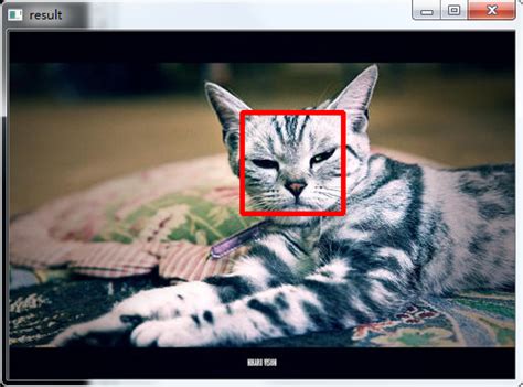 Opencv：图像指定区域绘制矩形框opecv 在指定指定坐标画矩形 Csdn博客