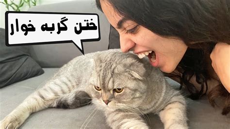 چالش مسخره تیک تاکی 😐 ختن مایکی خوار Youtube