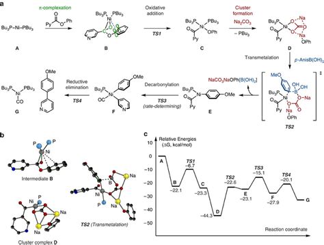 What Reaction Does Nickel Catalyst At Margaret Valez Blog
