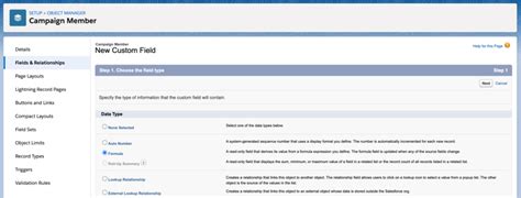 How To Add Custom Fields To Campaign Members In Salesforce The Spot