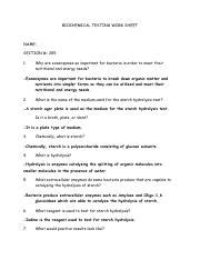 Biochemical Testing Work Sheet Pdf NAME SECTION Why Are Exoenzymes So Important