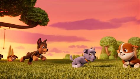 Rockygalleryvaliente A Tracker Story Paw Patrol Wiki Fandom