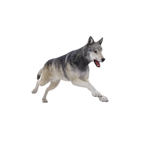 3d Wild Wolf Isolated 18741564 Png