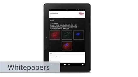 Your Guide To Successful Multiplex Live Cell Imaging Bitesize Bio Scientist Resources