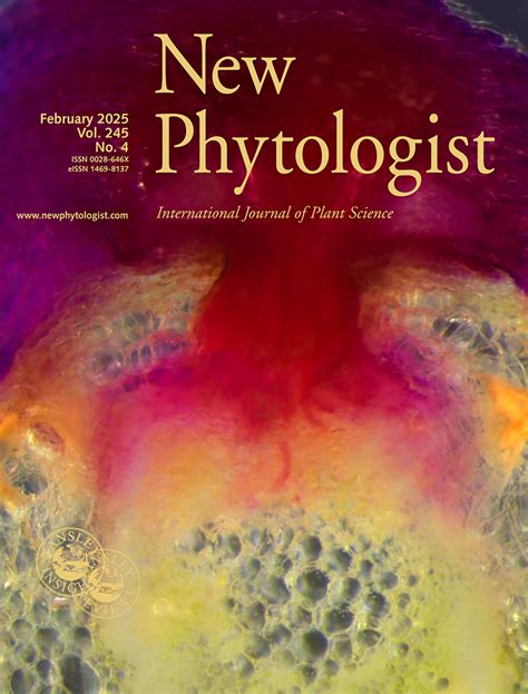 Issue Information 2025 New Phytologist Wiley Online Library