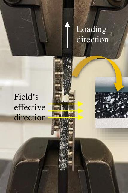 Typical Specimen With Speckled Surface For Dic Measurements At Its