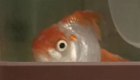 Look At This Creep Sleeping Pictures And Pics