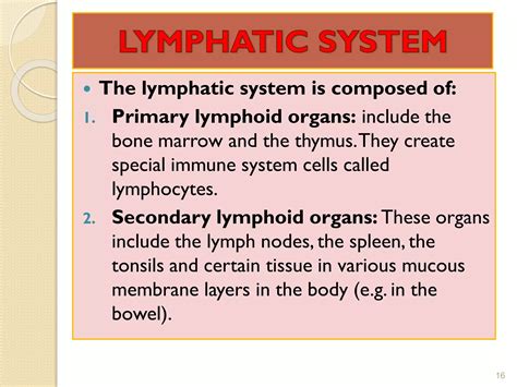 Reticuloendothelial System Pdf
