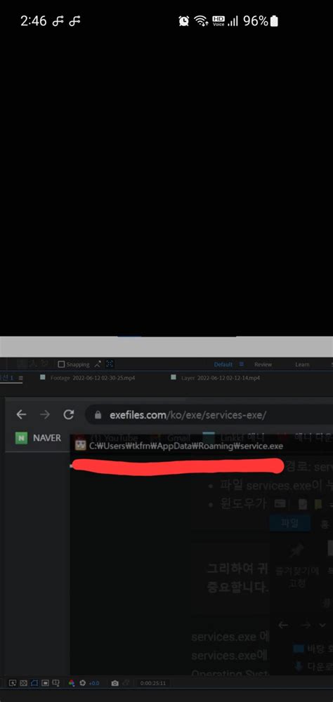 컴퓨터 바이러스인가요 지식in