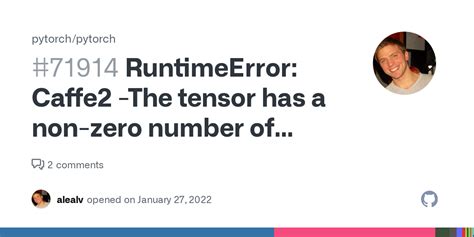 Runtimeerror Caffe2 The Tensor Has A Non Zero Number Of Elements But Its Data Is Not