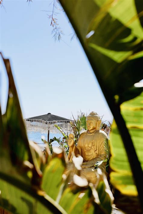 Volcano Bubbles Volcano Bubbles Added A New Photo