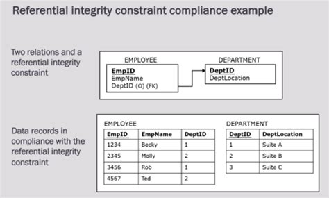 Infs Ch 6 Database Implementation And Use Slides Flashcards Quizlet