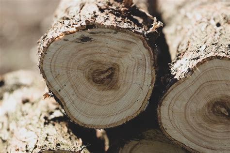 Lua Log 5 Callbacks To Coroutines · Matt Layman