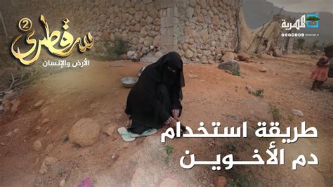 باللغة السقطرية تعرف على طريقة استخدام شجرة دم الأخوين في تزيين