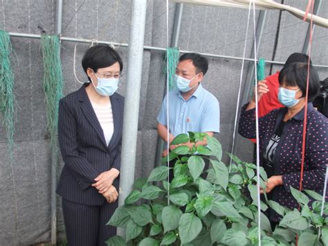 开封市人大常委会主任方婷到通许县冯庄乡调研乡村振兴工作腾讯新闻