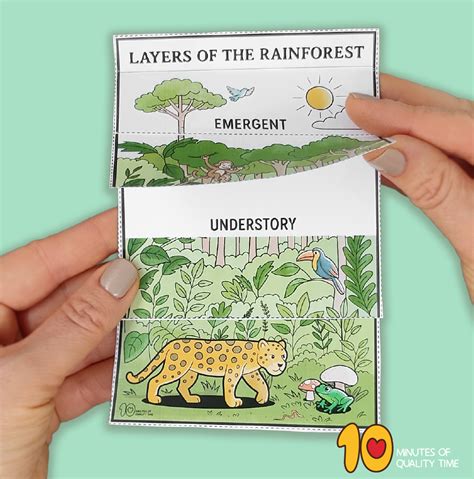 Layers Of The Rainforest Flipbook Craft 10 Minutes Of Quality Time
