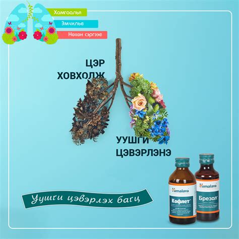 Архаг бронхиттой хүн уушгиа цэвэрлэх 5 арга “ЦАХИУР ТӨМӨР” ХХК