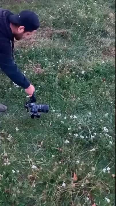 Sohini Das On Linkedin Reference Worthy Images