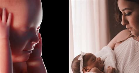 Action Alert Buffer Zones Lords