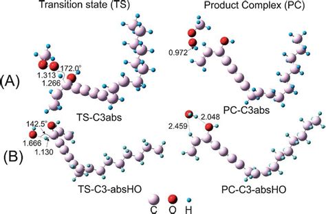 Optimized Geometries Of Transition State Ts And Product Complex Pc Download Scientific