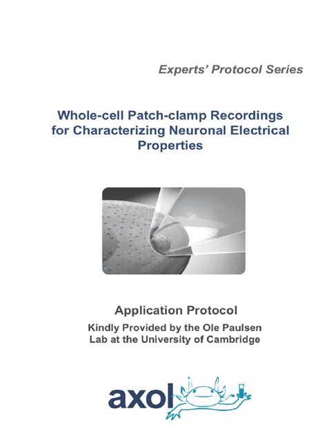 Patch Clamp Protocol Final Pdf Inhibitory Postsynaptic Potential