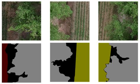 Crop Classification From Drone Imagery Based On Lightweight Semantic