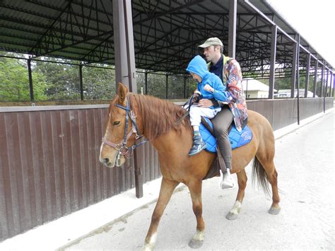 СРАВНИТЕЛЬНАЯ ХАРАКТЕРИСТИКА ВЛИЯНИЯ ЛЕЧЕБНОГО ПЛАВАНИЯ И ИППОТЕРАПИИ