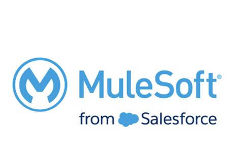 Salesforce Consulting Services With Mulesoft Capabilities G2