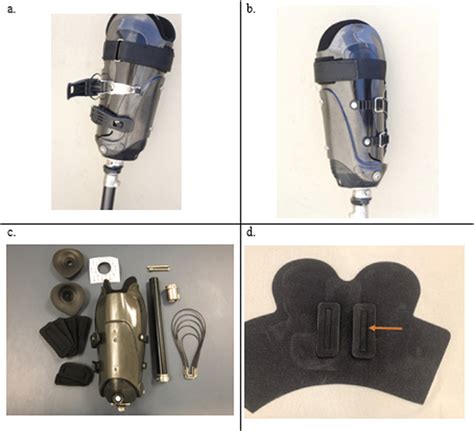 Components Of The Immediate Fit Prosthesis A Lateral View Of