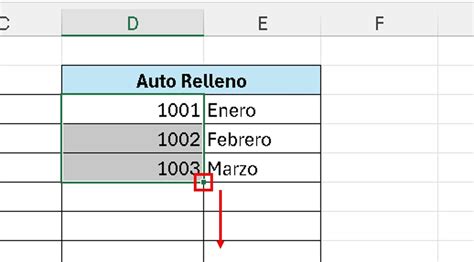 Relleno Rápido Relleno Inteligente Y Autorelleno En Excel