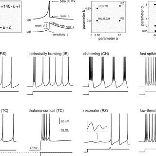 The Parameters A B C And D In The Model Provided By 6 Map Onto The Download Scientific