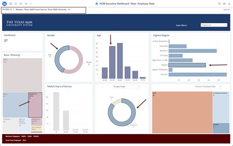 Microstrategy Dashboard User Reference Guide