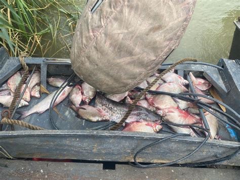 На Одещині на озері Сасик затримали браконьєрів з уловом на понад 2 млн грн ФОТО Читайте на