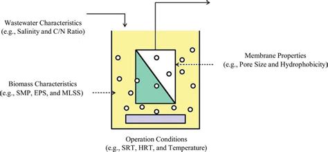 A Simple Schematic To Illustrate The Important Parameters Affecting