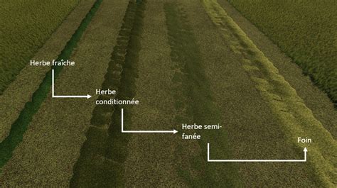 Maizeplus Our Guide To Better Understand This Mod Back In Farming Simulator 22