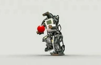 Lego Mindstorms NXT Robotics Swinny Net