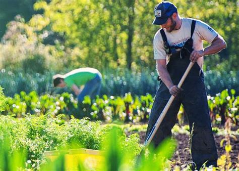 Apply For A Sustainability Education Grant By May 14 Ubc Today