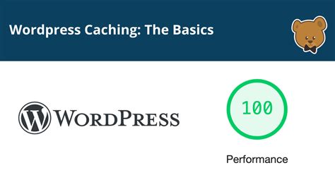 Wordpress Caching The Basics Debugbear