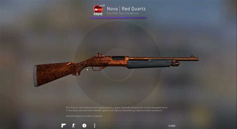 10 Best Nova Skins In Counter Strike 2 1v9