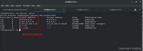Linux端口及端口监听linux端口监听 Csdn博客
