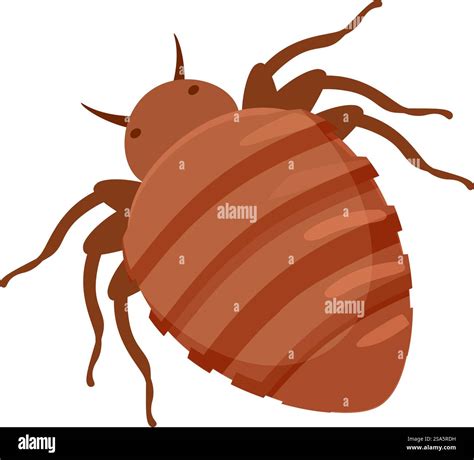 Bedbug Is Crawling A Parasitic Insect Known For Spreading Diseases