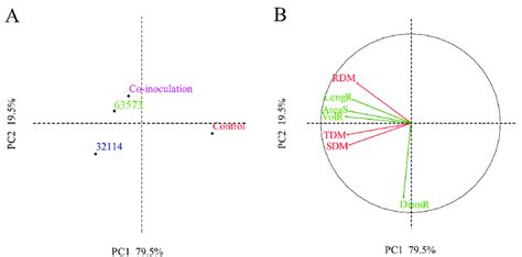 Principal Component Analysis Pca Of Pc1 X Pc2 Explaining The Download Scientific Diagram