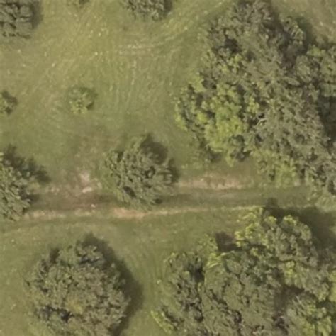 coco best test object detection dataset by fyp