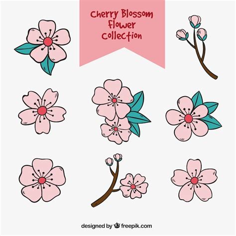 벚꽃 일러스트 이미지 Freepik에서 무료 다운로드