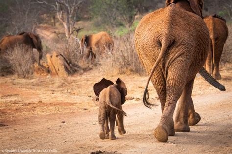 Pgx Inc On Linkedin Pgus